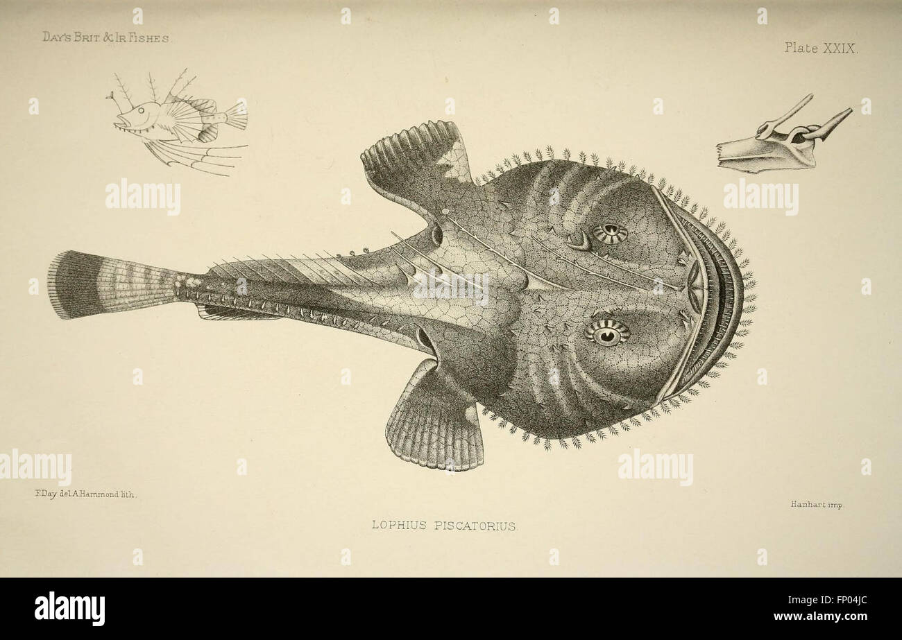 'The Fishes of Great Britain and Ireland' provides detailed ...