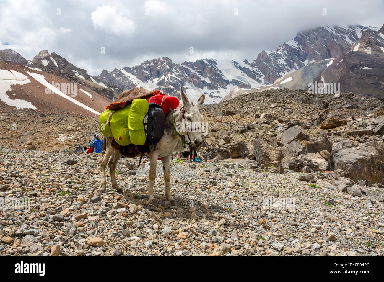 Donkey carrying heavy load hi-res stock photography and images - Alamy