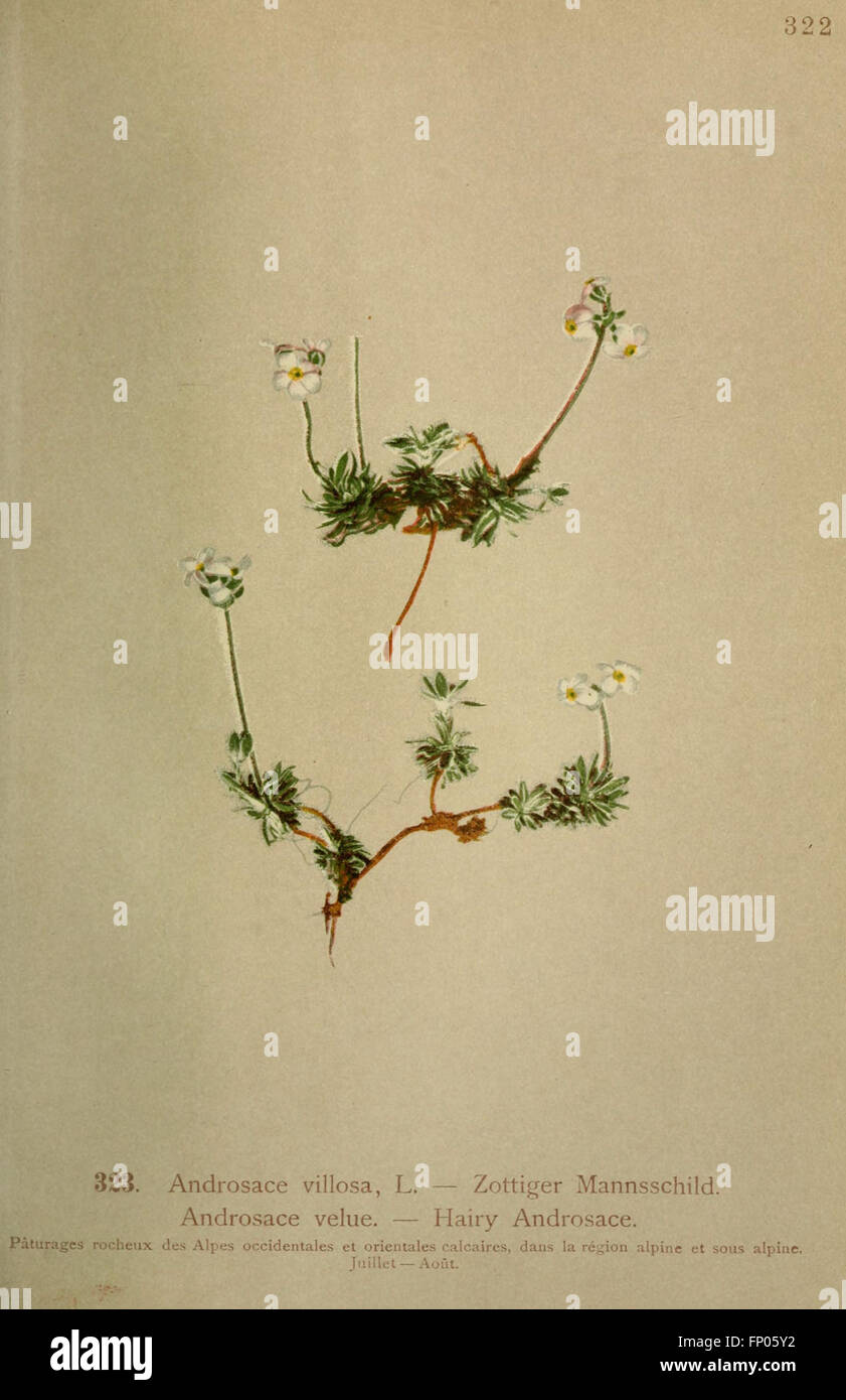 The 'Atlas de la Flora Alpine' presents a detailed botanical ...