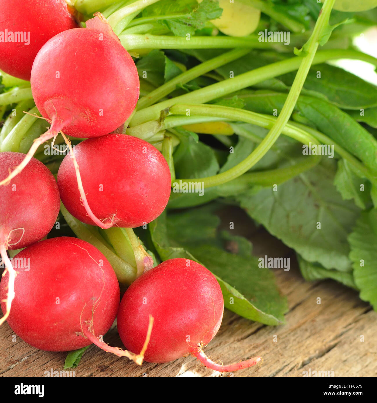 Fresh salad with radish hi-res stock photography and images - Alamy