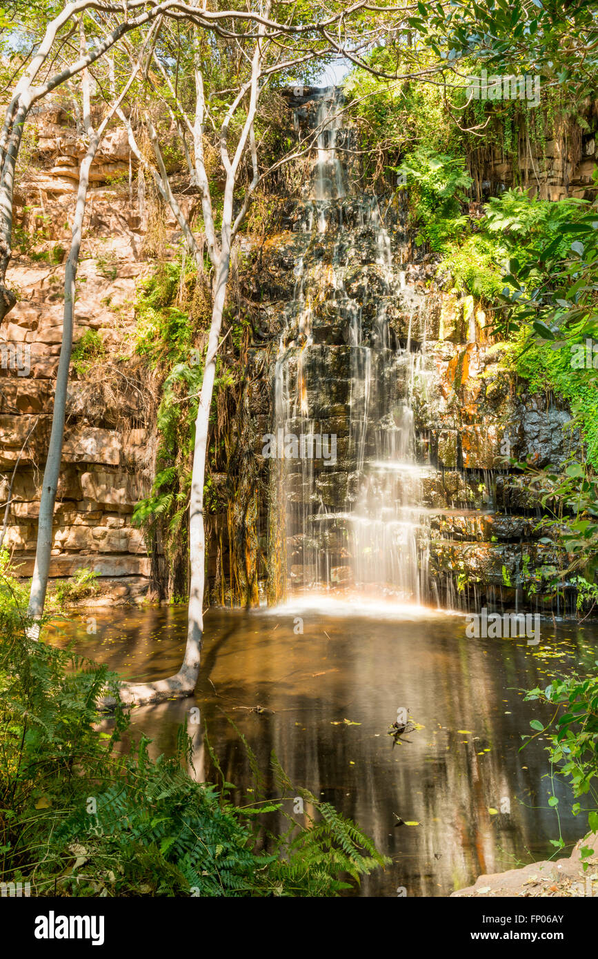 One of five waterfalls along the Moremi Gorge (Goo Moremi) trail in ...