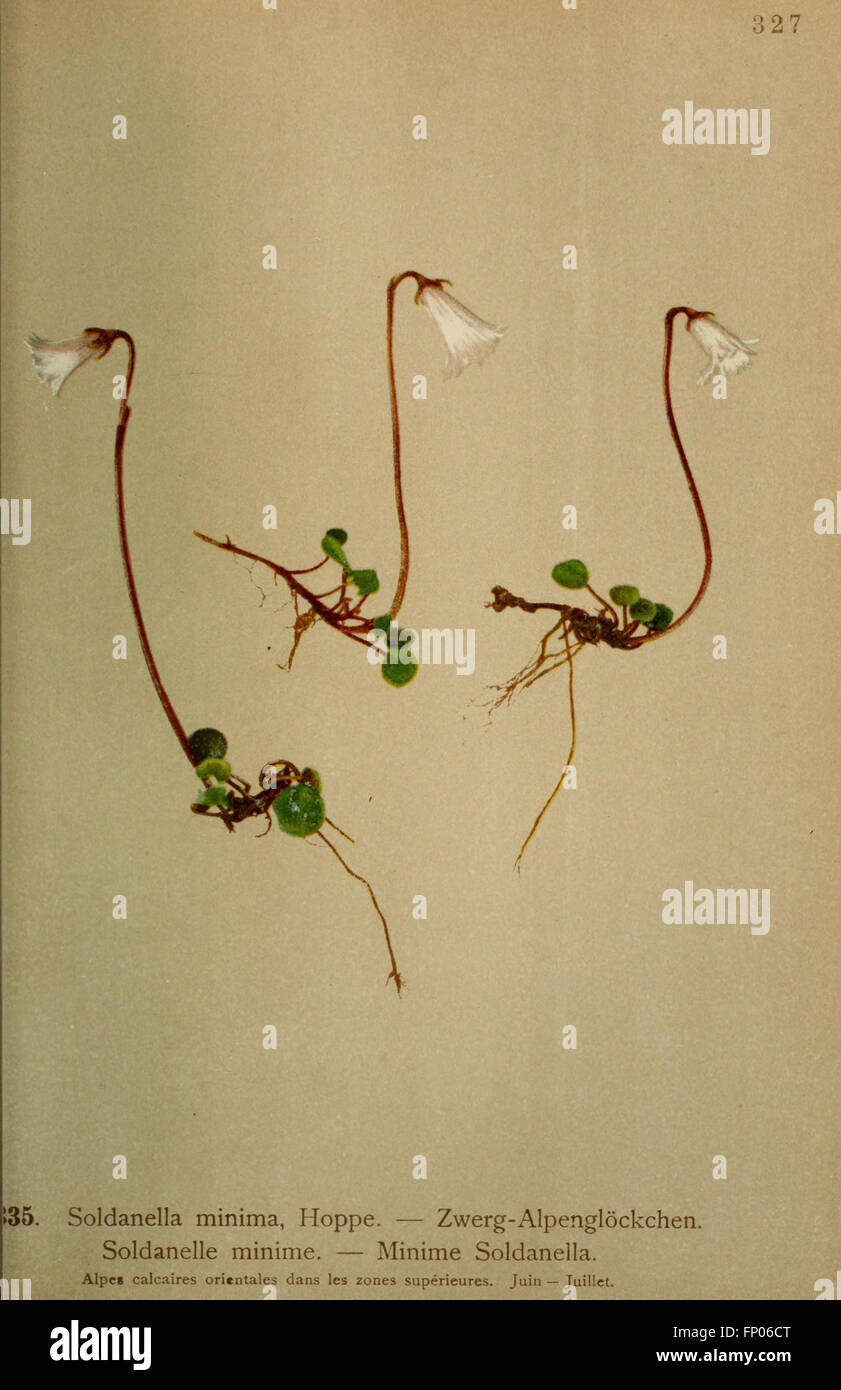 'Atlas de la Flora Alpine' provides detailed illustrations of alpine ...