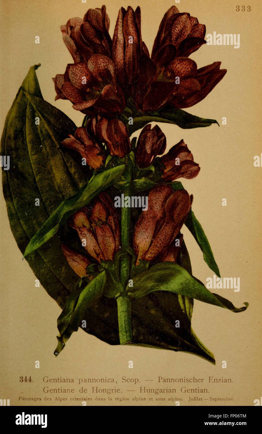This atlas provides detailed illustrations of Alpine flora, with Plate ...