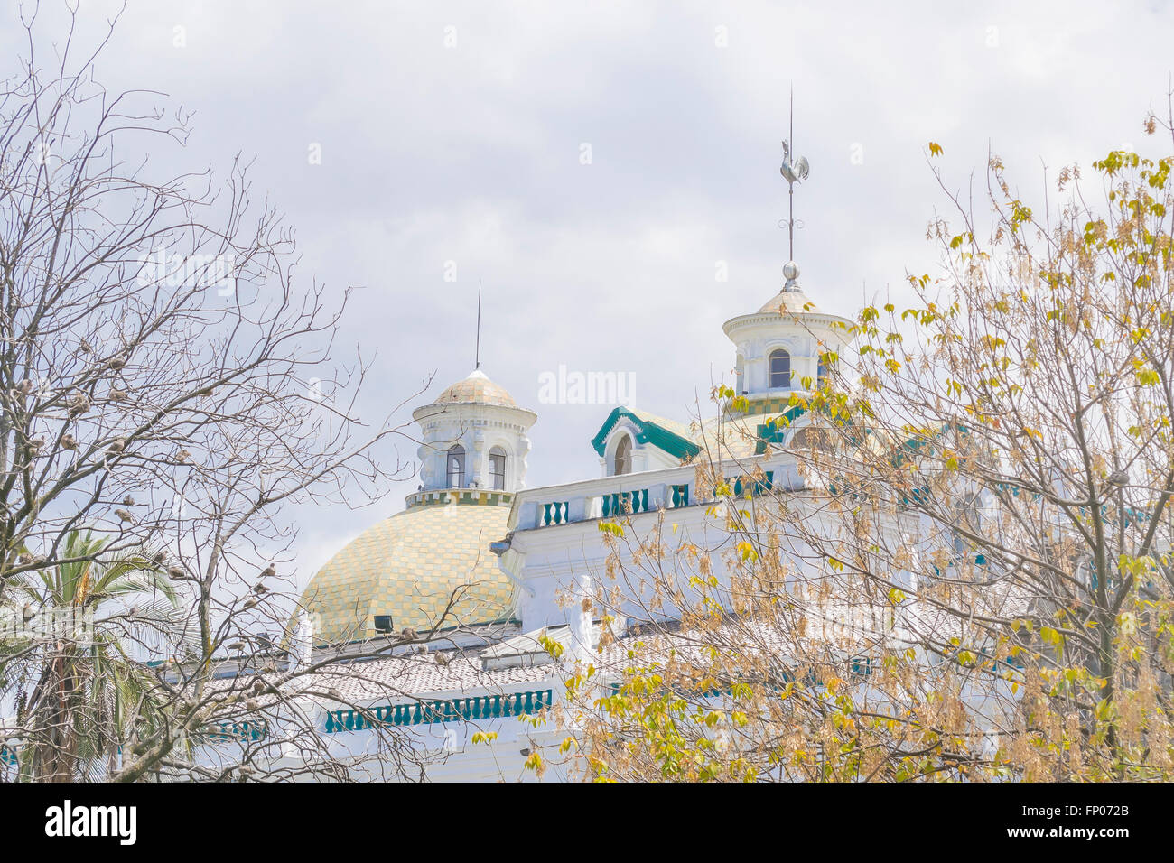 Quito catedral metropolitana hi-res stock photography and images - Alamy