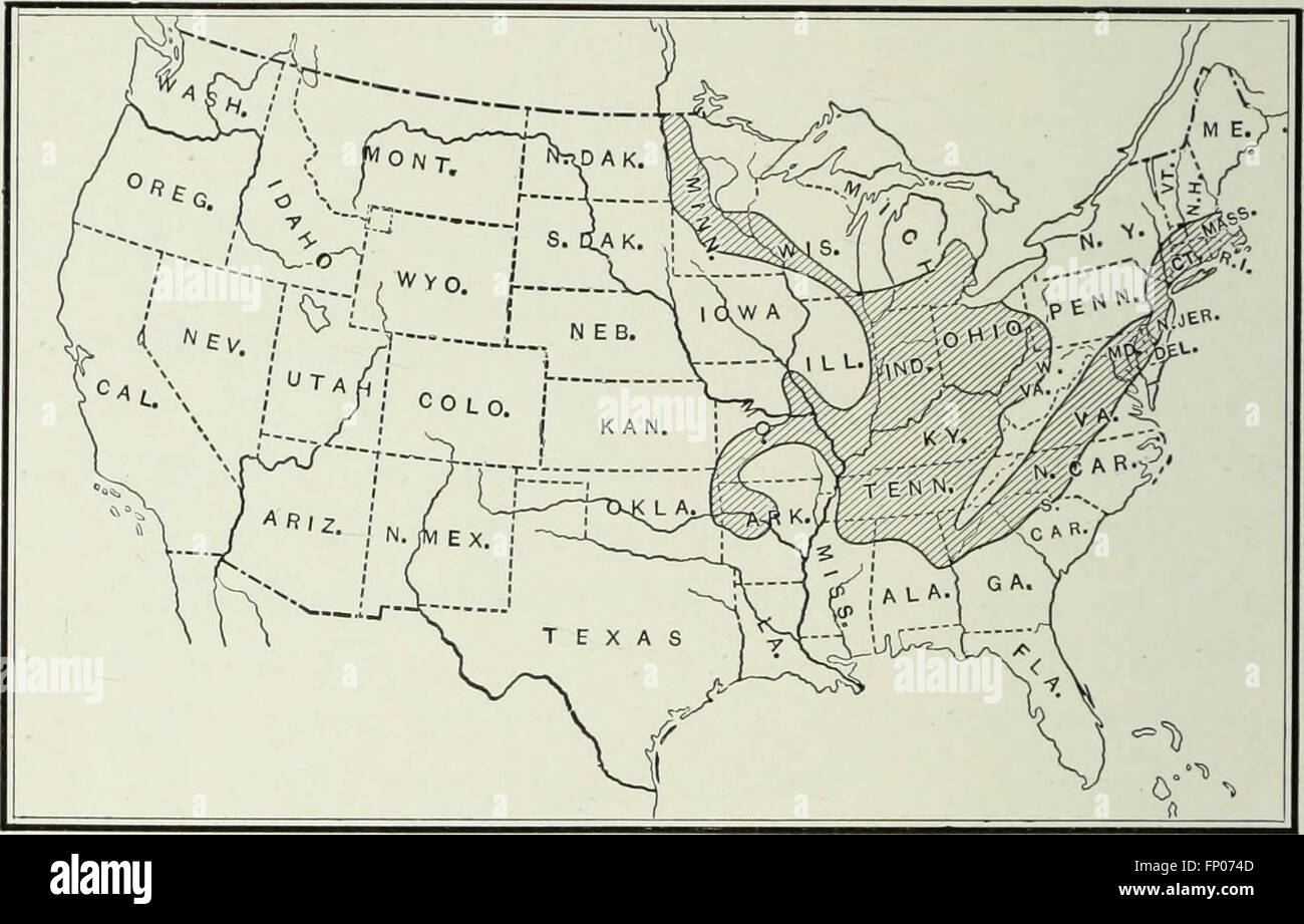 "Elements of forestry" (1914 Stock Photo - Alamy