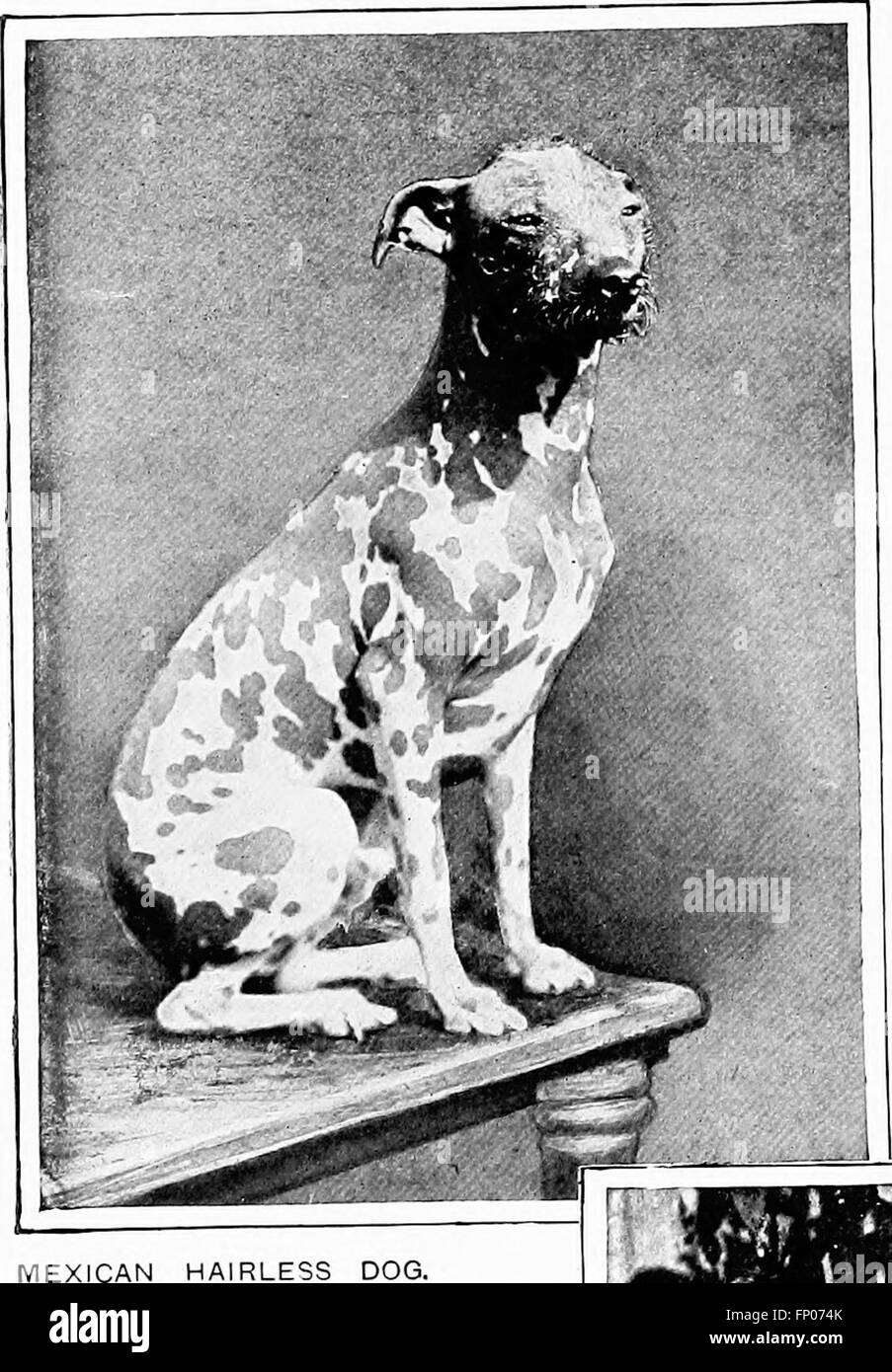 Old law books Black and White Stock Photos & Images - Alamy