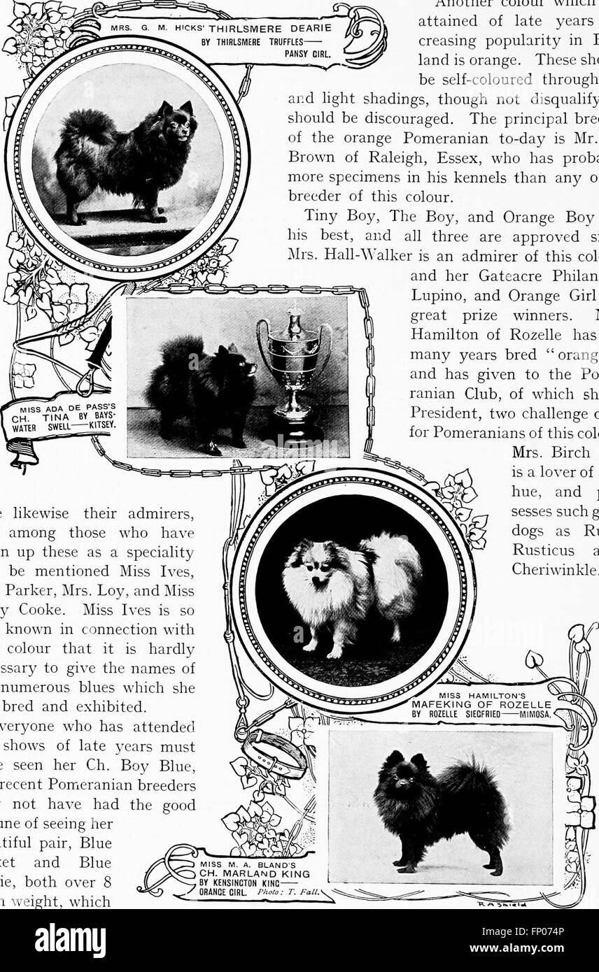 The new book of the dog; a comprehensive natural history of British ...