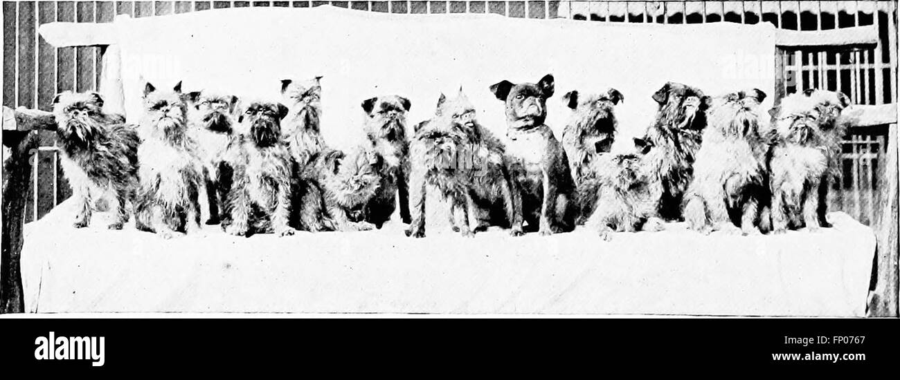 'The New Book of the Dog' (1907) offers an extensive look at British ...