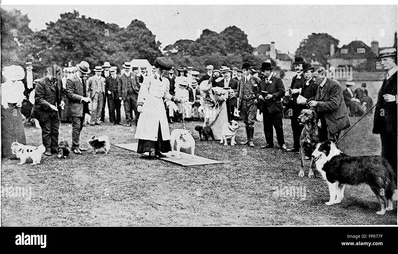 'The New Book of the Dog' (1907) offers a comprehensive overview of ...