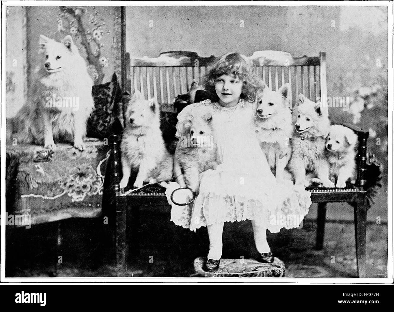 The New Book of the Dog (1907) covers British dog breeds and their ...