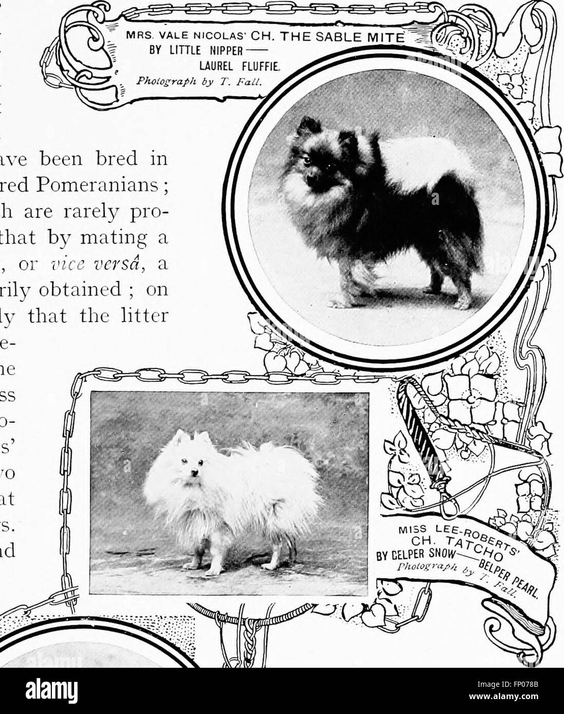 The new book of the dog; a comprehensive natural history of British ...