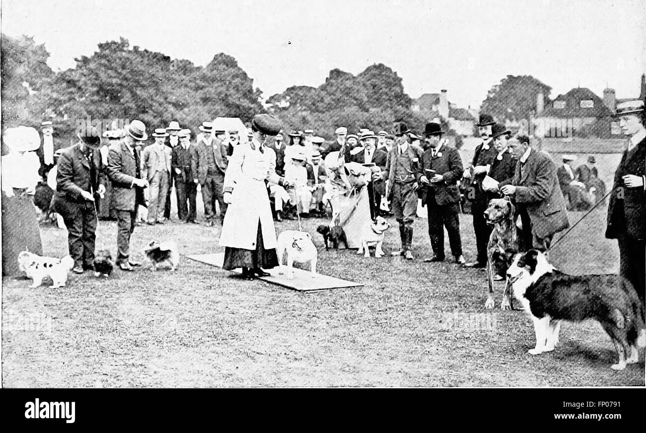 A detailed guide from 1907 offering insights into the natural history ...