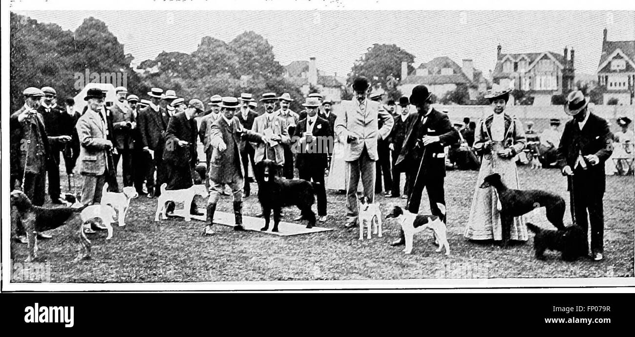 'The New Book of the Dog' (1907) is an extensive guide to British dog ...