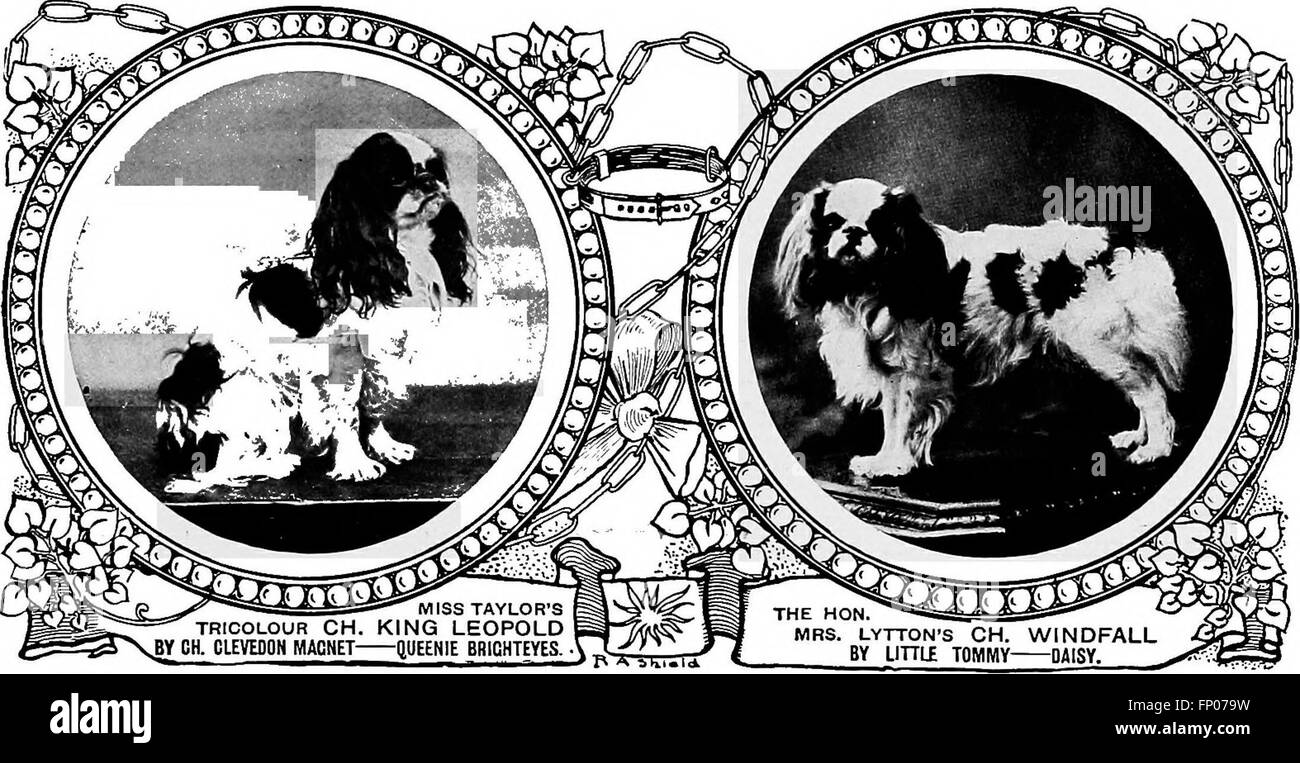 The New Book of the Dog, published in 1907, provides a detailed guide ...