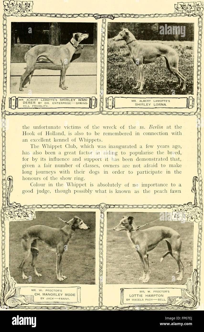 'The New Book of the Dog' (1911) provides a detailed natural history of ...
