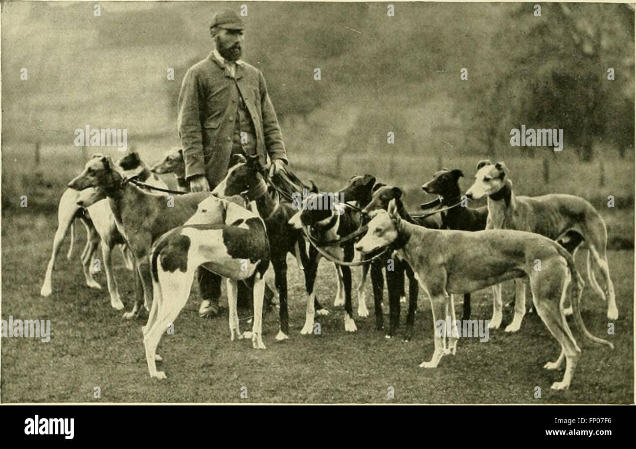 A 1911 comprehensive guide on British dog breeds and their foreign ...