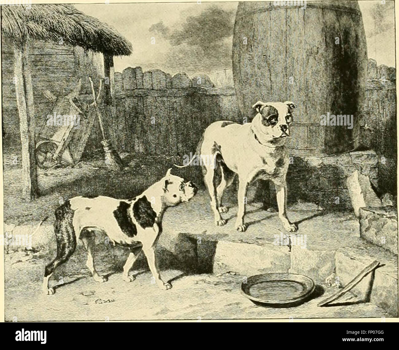 This 1911 book provides a comprehensive guide to British dog breeds and ...
