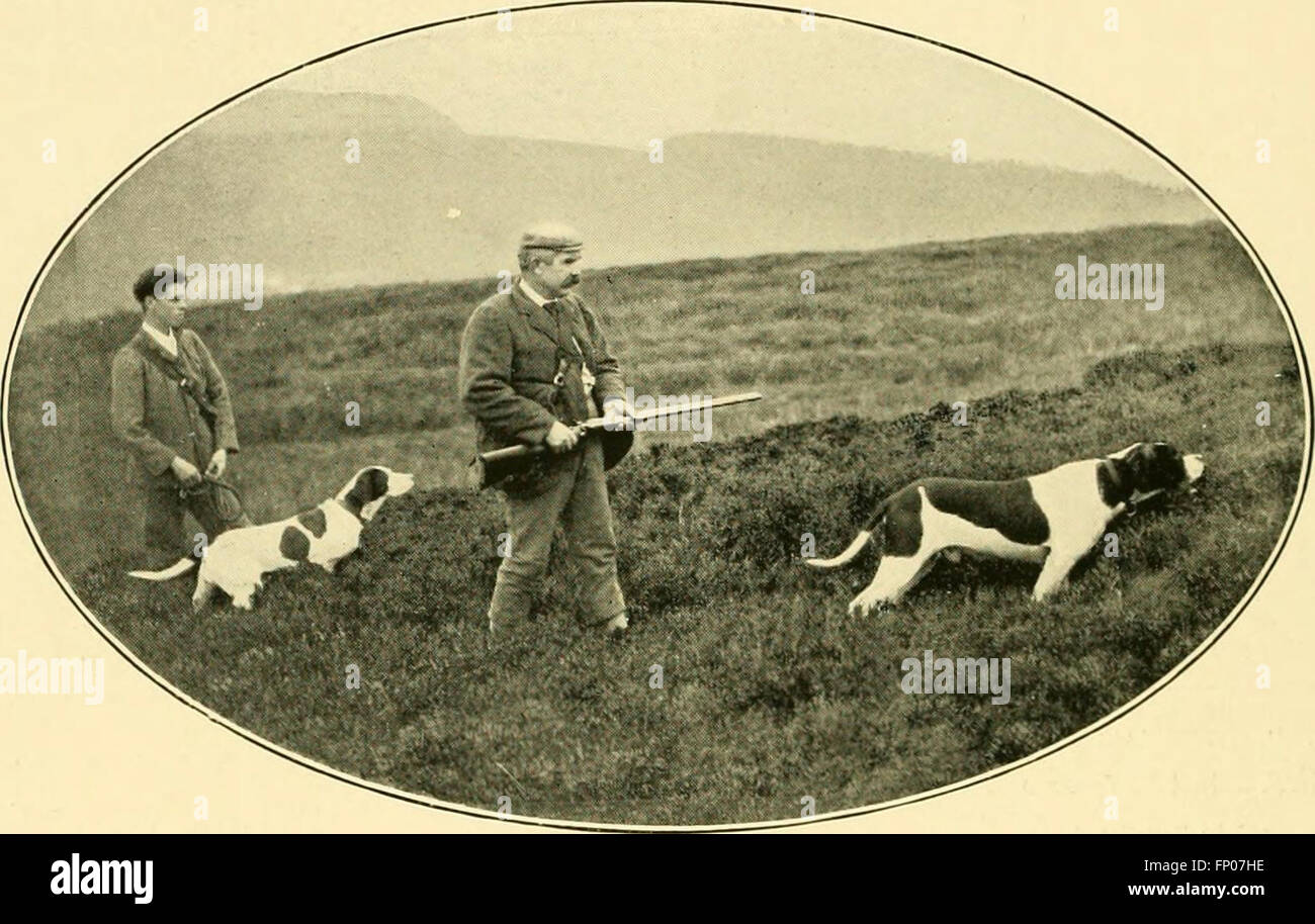 This 1911 book provides a detailed natural history of British dogs ...