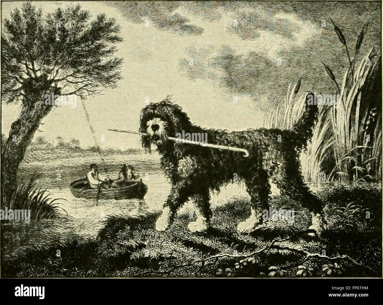 This 1911 book is a detailed guide on the natural history of British ...