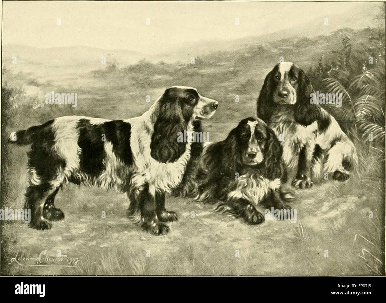 *The New Book of the Dog* (1911) is a comprehensive guide to British ...