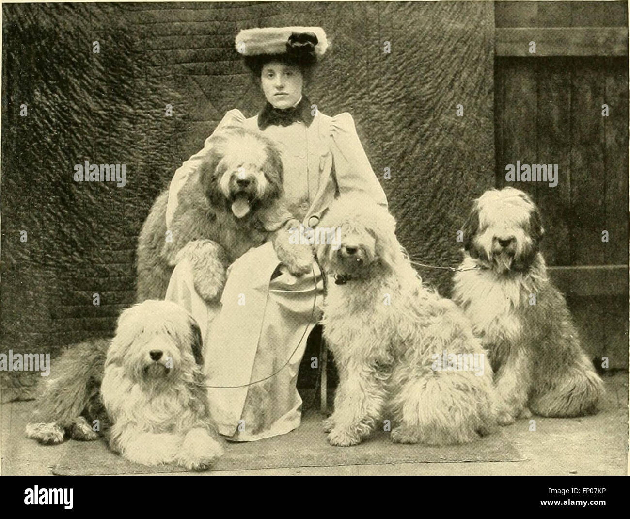 'The New Book of the Dog' (1911) offers a complete guide to British dog ...