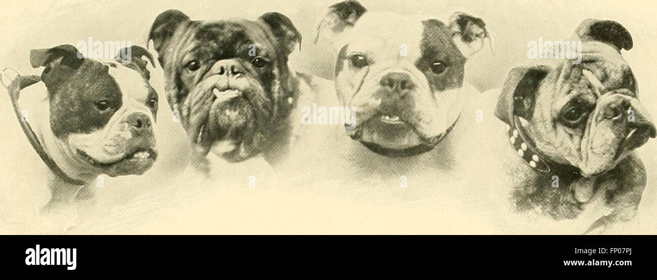 This 1911 book provides an extensive overview of British dog breeds and ...