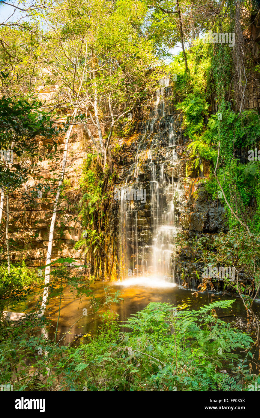 One of five waterfalls along the Moremi Gorge (Goo Moremi) trail in ...
