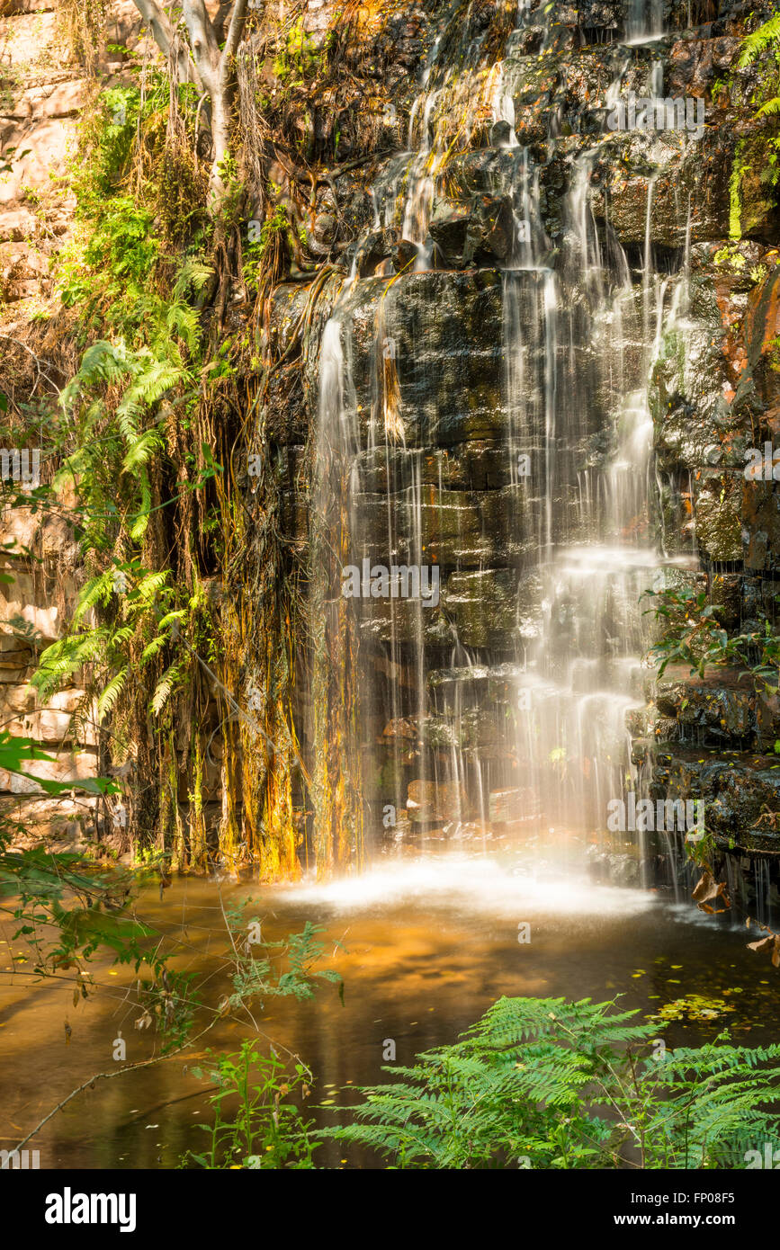 Moremi gorge hi-res stock photography and images - Alamy
