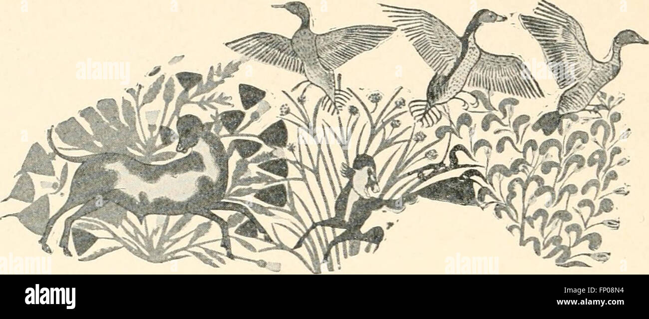 'The Sacred Beetle' (1902) delves into the significance of Egyptian ...