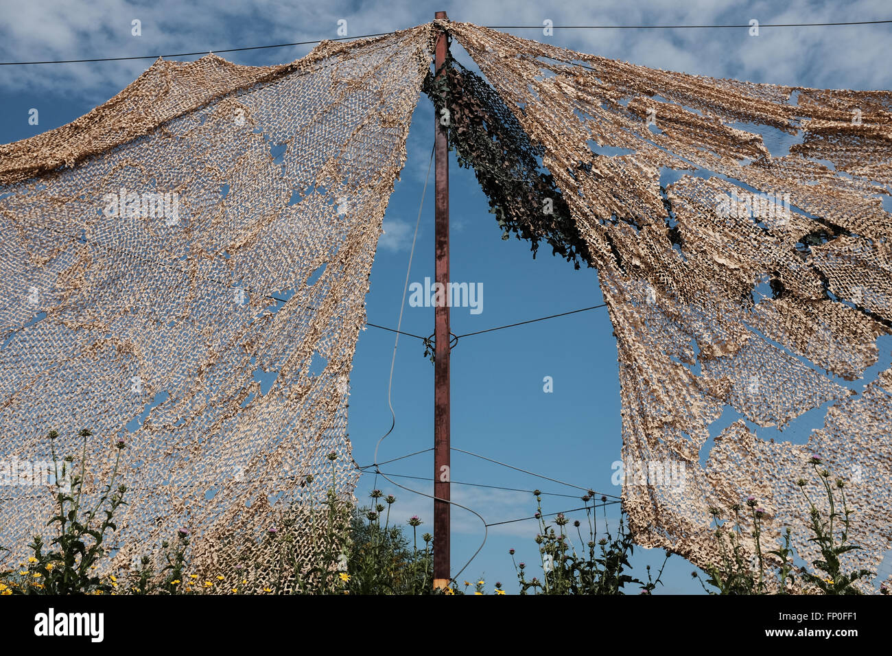 Sniper camouflage net hi-res stock photography and images - Alamy