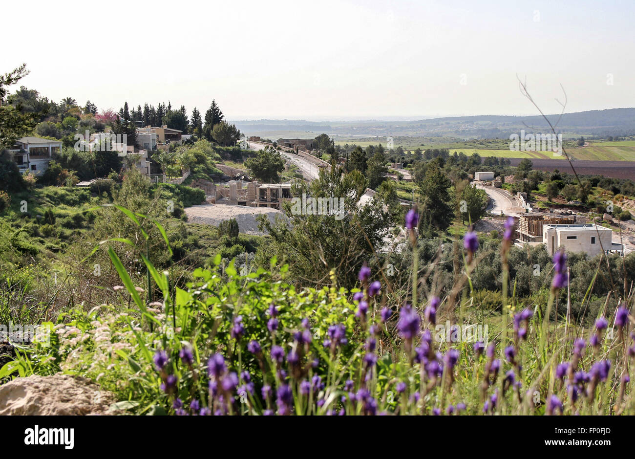 A view of new development from a hill, in the village of Neve Shalom ...