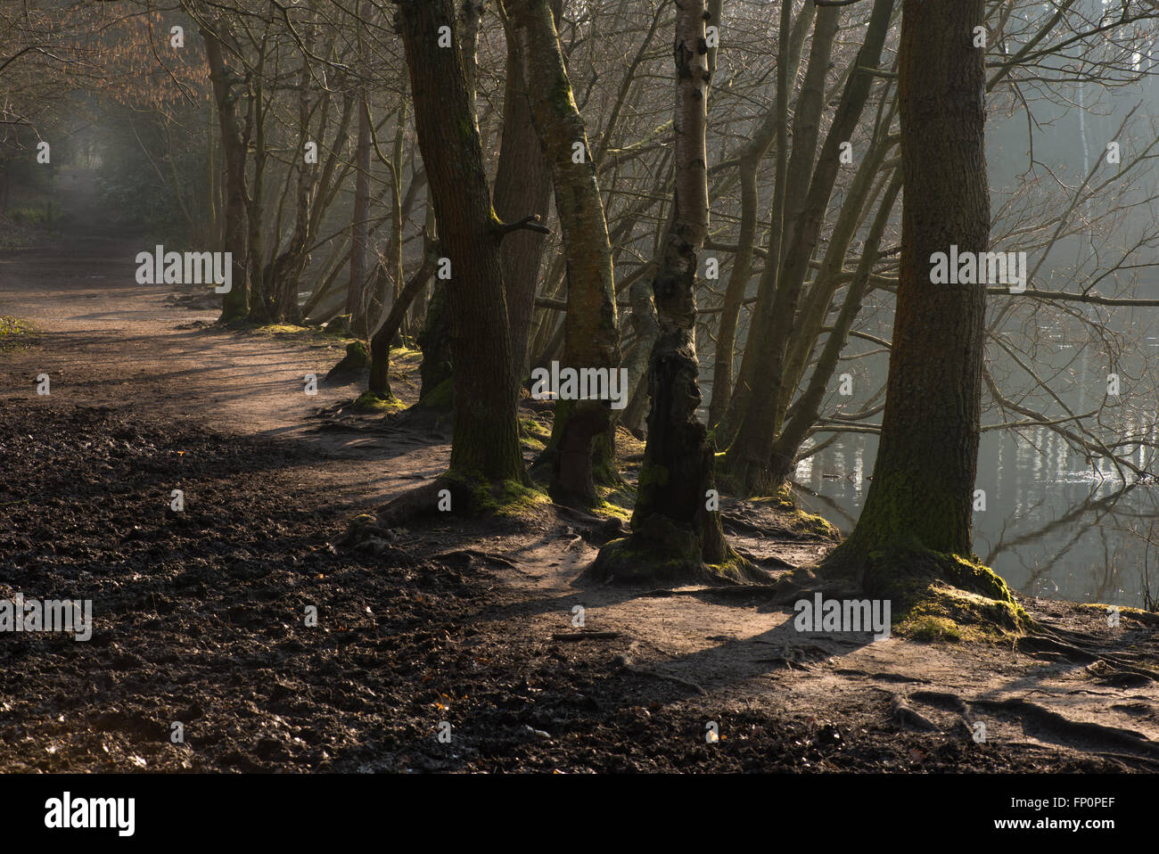 Simonswood Finchampstead Berkshire Stock Photo - Alamy