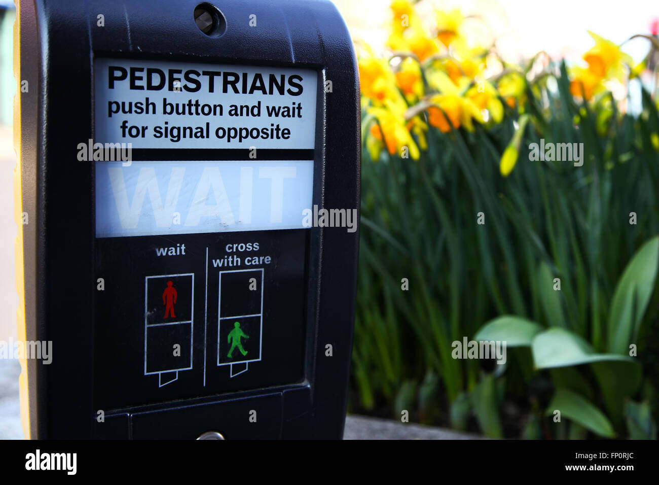 Pedestrian crossing button in North London Stock Photo - Alamy
