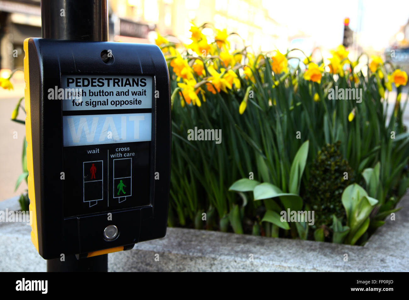 Pedestrian crossing button in North London Stock Photo - Alamy