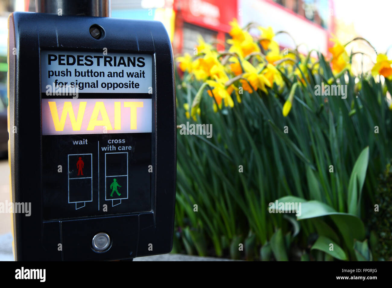 Pedestrian crossing button in North London Stock Photo - Alamy