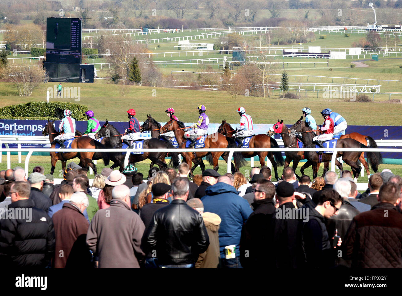 Lucy ford cheltenham hi-res stock photography and images - Alamy
