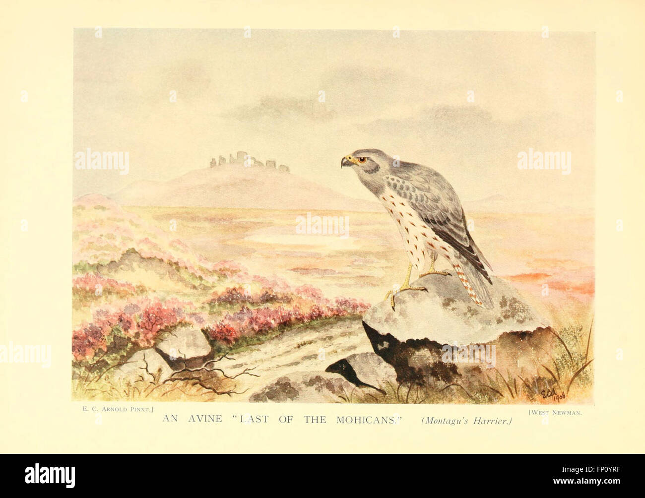 Map collectors hi-res stock photography and images - Alamy