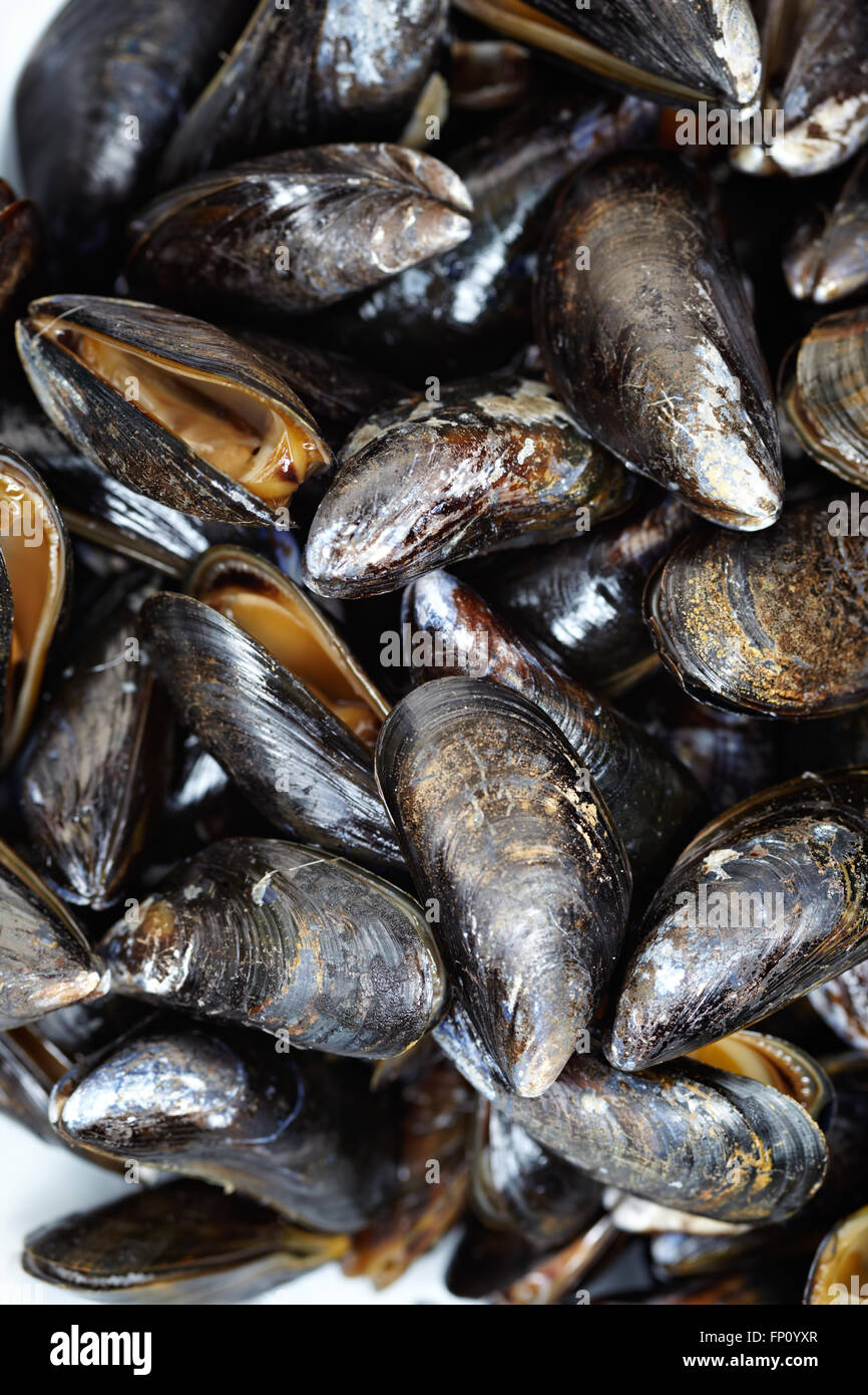 Homemade cooked mussels Stock Photo - Alamy