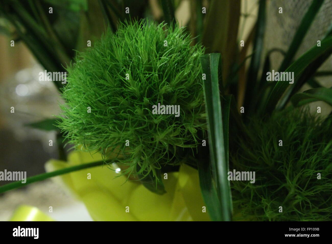 Abstract, green, bouquet, life, greenery, ball, leaf, grass, harmony ...