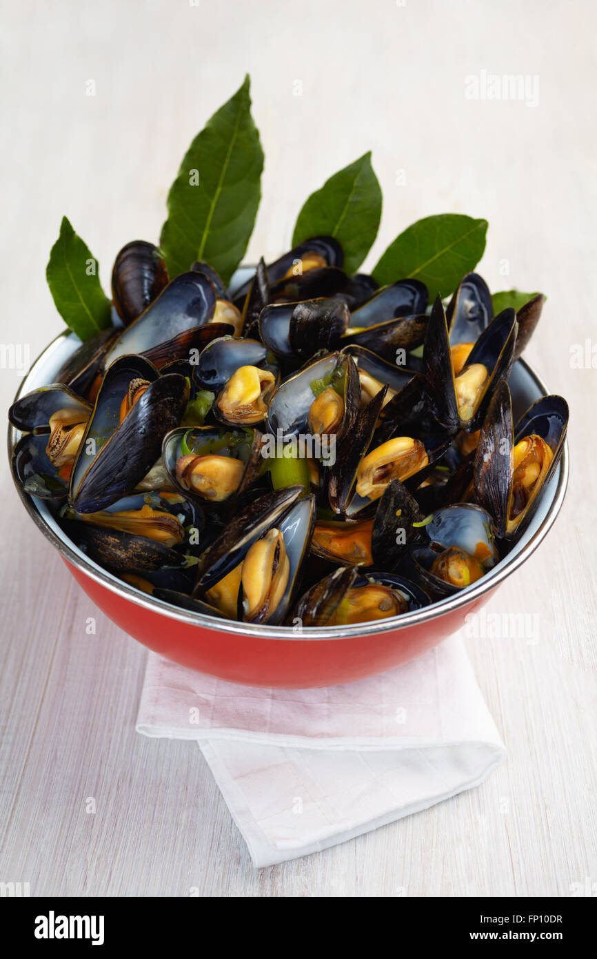 Bay mussels hi-res stock photography and images - Alamy