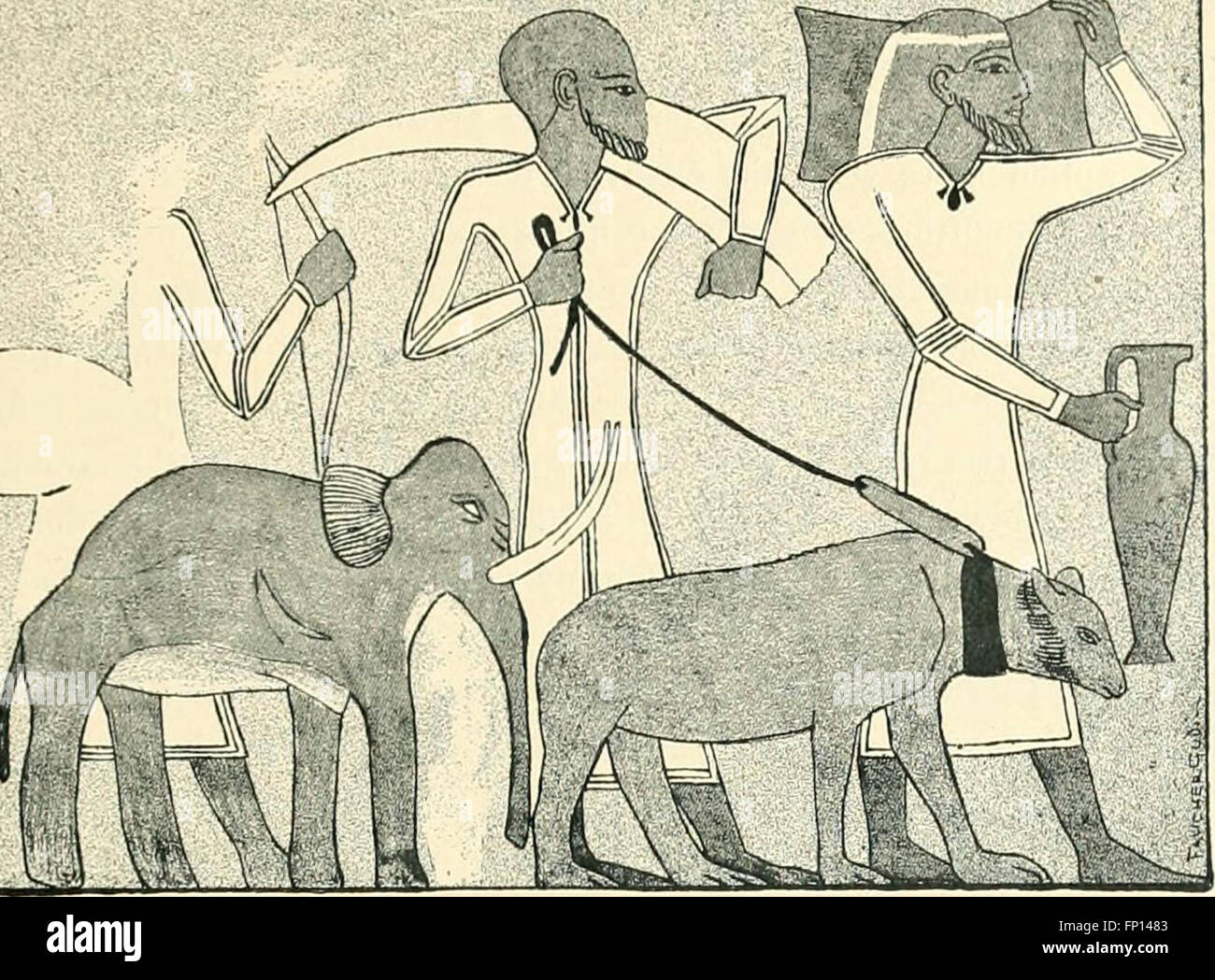 The struggle of the nations - Egypt, Syria, and Assyria (1896 Stock ...