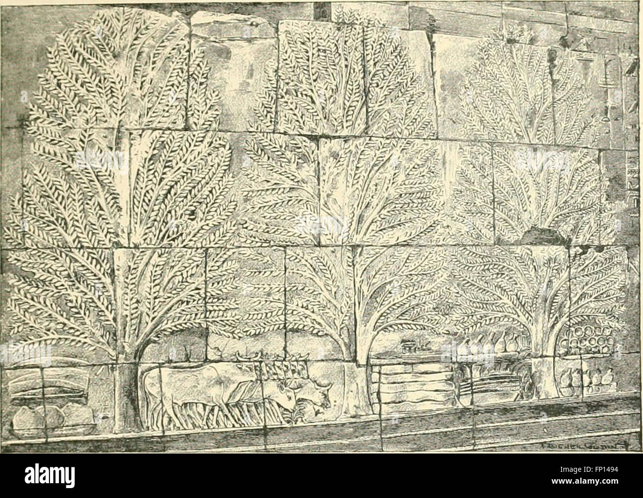 This 1896 historical analysis focuses on the conflicts between Egypt ...