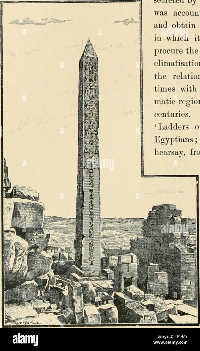 This 1896 work discusses the historical conflicts and power dynamics ...