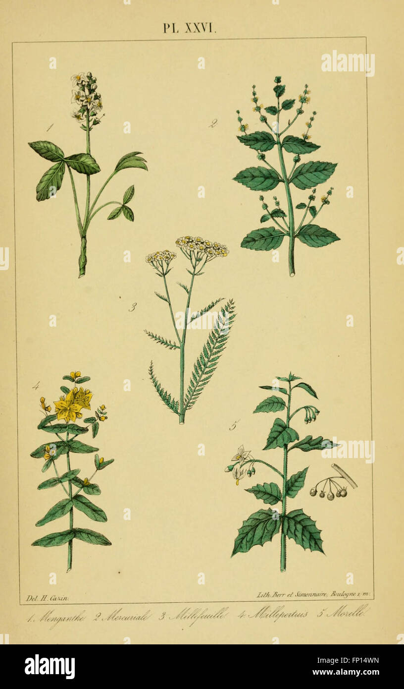 A work on indigenous medicinal plants, providing practical guidance on ...