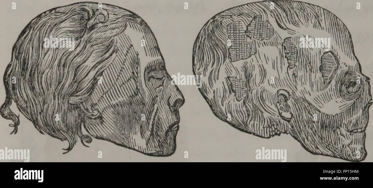 Types of mankind hi-res stock photography and images - Alamy