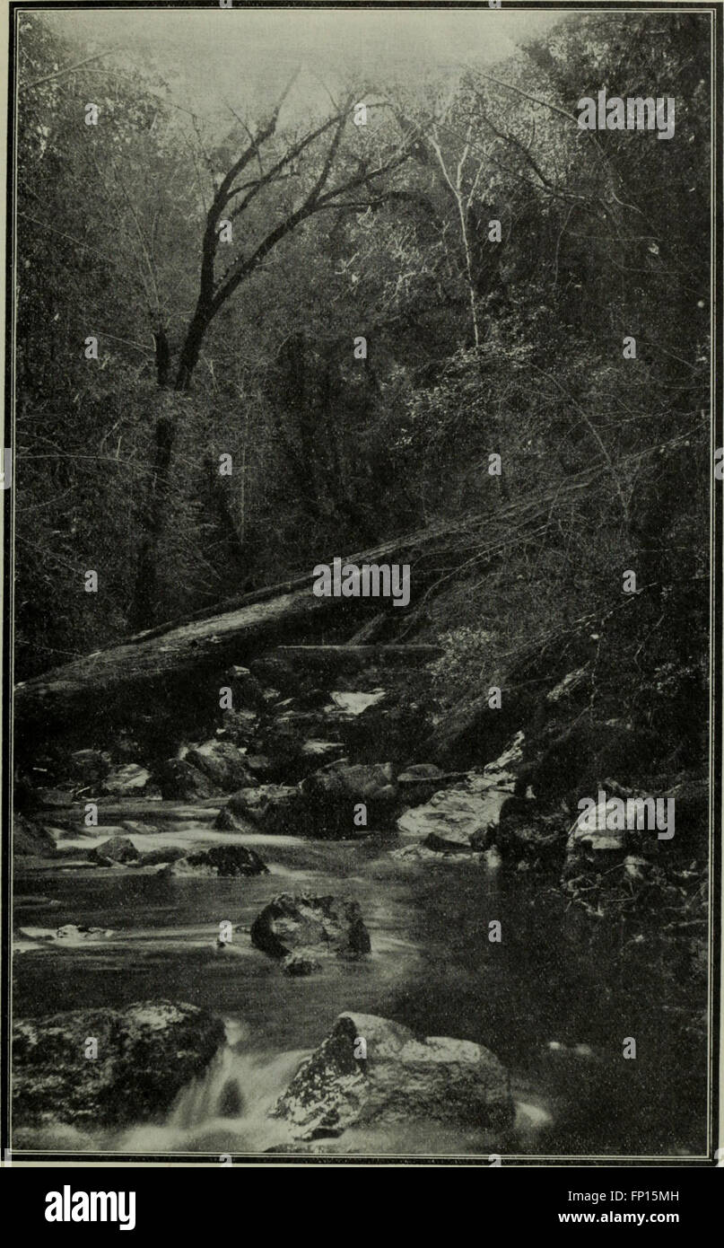 The 1905 edition of Western Field covers the natural history, wildlife ...