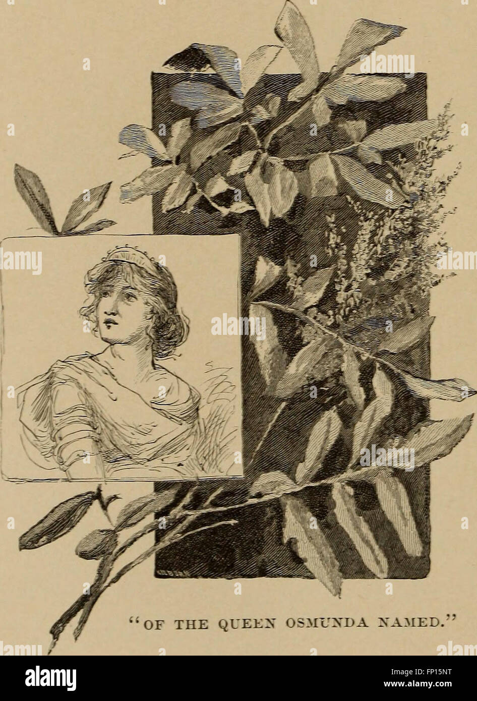 This 1882 book provides an exploration of wildflowers and their natural ...