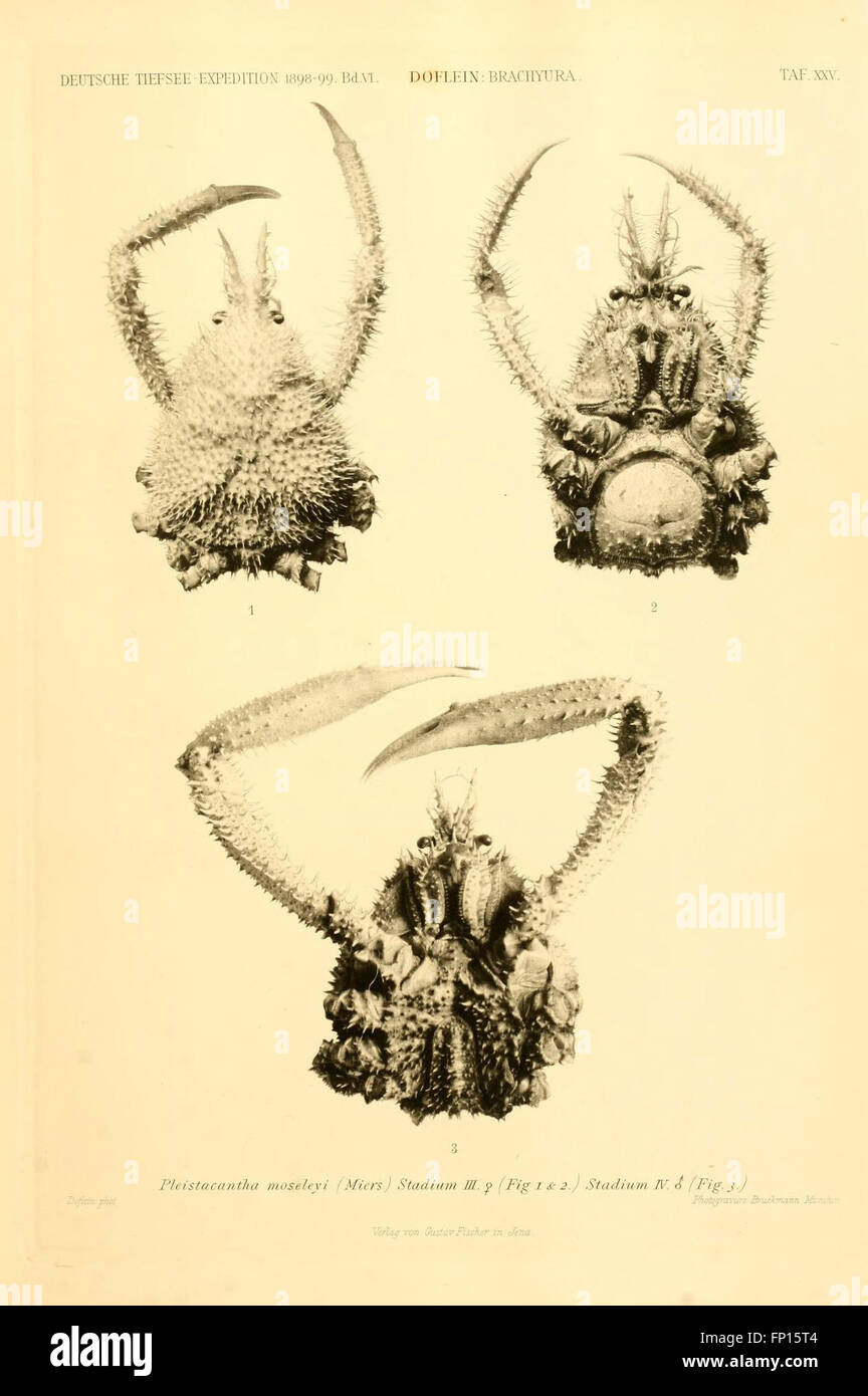 This scientific report from the German Deep Sea Expedition aboard the ...