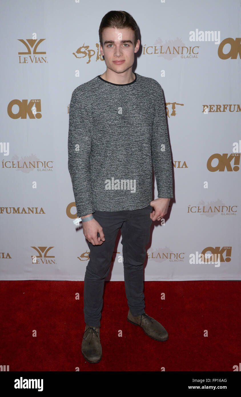 2016 OK! Magazine Pre-Grammy Party held at Lure Nightclub - Arrivals ...