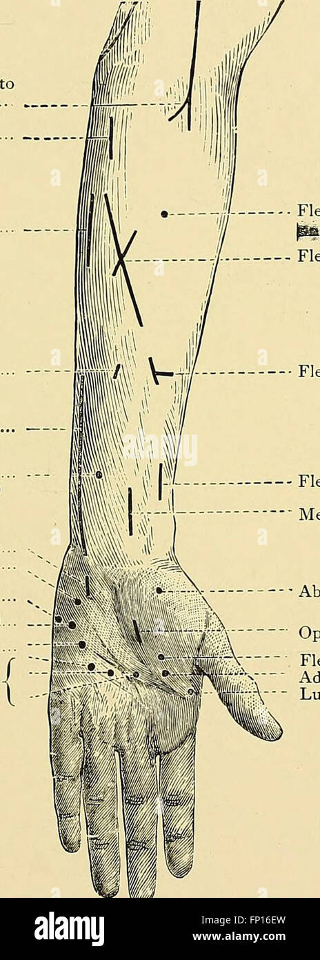 'A Manual of Practical Medical Electricity' (1902) provides guidance on ...